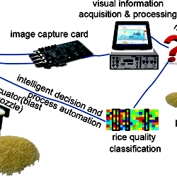 Machine vision-based rice quality monitoring system.