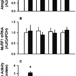 Temporal progression of changes in atrogin-1 and MuRF1 mRNA content and ...