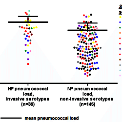Pneumococcal load distribution in NP samples from the South African cohort.