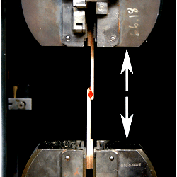 Sample in lap shear test apparatus.