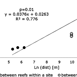 The isolation by distance pattern for P. clavata.