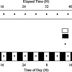 Overview of the protocol design [13].