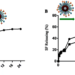 SF loading (A) and releasing (B).
