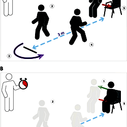 Principle of the timed-up-and-go (TUG) test (top) and of the imaginary ...