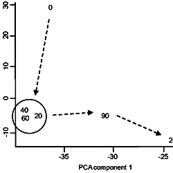 Principal component analysis (PCA) of meningococcal transcriptomes ...