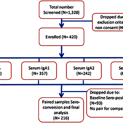 Study Participants Flow chart.