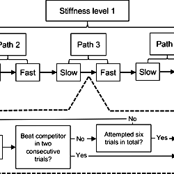 Schematic of training blocks.