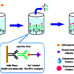 Schematic diagram of the TRFIA system for SSa detection.