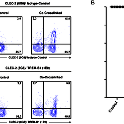 TREM-B1 crosslinking reduces CLEC-2 induced thrombocyte degranulation.