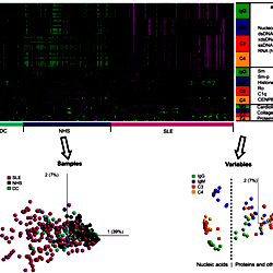 Heatmap and principal component analysis of the functional antibody ...