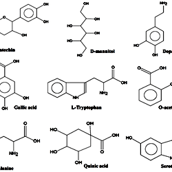 Chemical structures of some essential bioactive metabolites identified ...