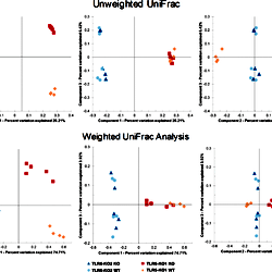 PCOA graphs of the differences in gut microbial composition between the ...