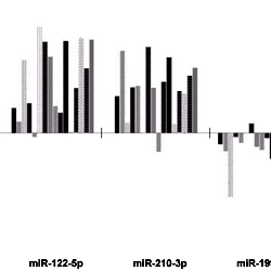 miRNA stem-loop PCR validation.
