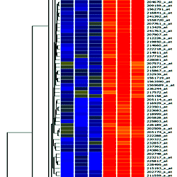 Hierarchical clustering of microarray data.
