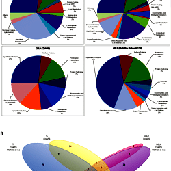 Pie charts (A) displaying protein families function distribution and ...