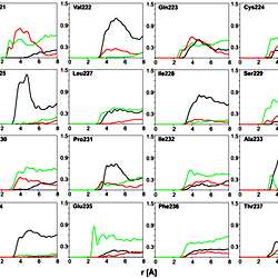 Radial distribution function (RDF) plots.