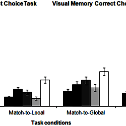 Mean percentage of errors for all clinical and control groups for the ...