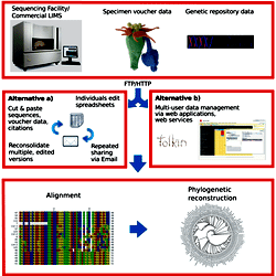In a typical phylogenetic analysis workflow, common practice has been ...