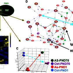 Identification and analyses of 51 genes differentially expressed at ...