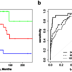 Survival and Survival ROC curves for the Risk Score. (a)