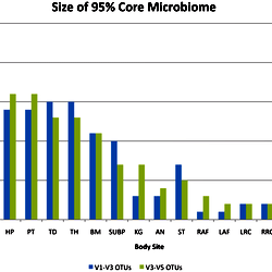 Size of the 95% core microbiome by body site.