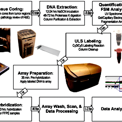 Overview of proposed methods for FSM ULS processing of FFPE specimens.