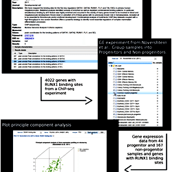 Usage of the LGA web interface. (Above)