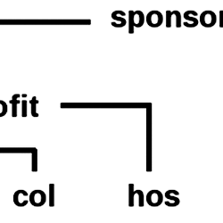 Schema of the classification.