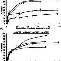 Results of MTT assay on different cell lines.