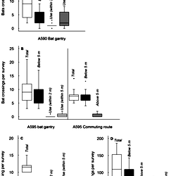 Boxplots of the number of bats crossing per survey at each bat gantry.