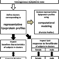 Overview of the data analysis approach presented in this paper.