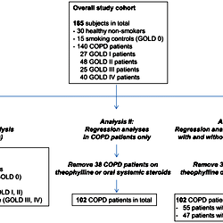 Overview of data analysis on COPD cohort.