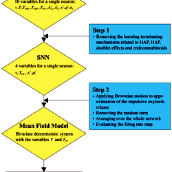 Flow chart illustrating the model simplification.