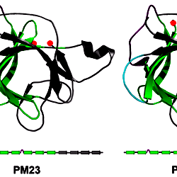 Summary plot of the results from the HDX pulse labeling experiments ...
