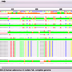 View of alignment with consensus sequence displayed for each group.