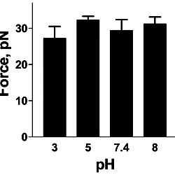 Uncoiling forces at different pH in FMOT experiments.