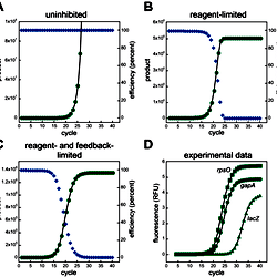 Comparing PCR equations.