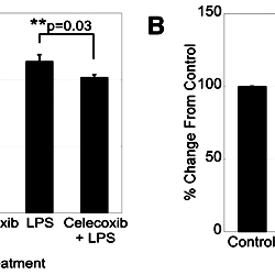 Stimulation of IEC-6 cell proliferation by LPS requires COX-2 activity.