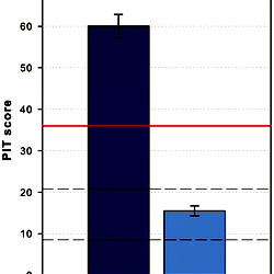 PIT score.