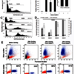Cell separation analysis.