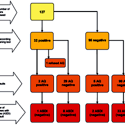 Summary of screening tool, AQ and ASDI results.