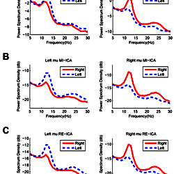 Averaged power spectrum density of EEG signals in motor imagery ...