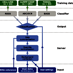 Diagram of the hemaClass.org workflow architecture.