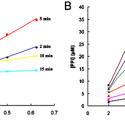 Selection of optimum incubation time and enzyme concentration for ...