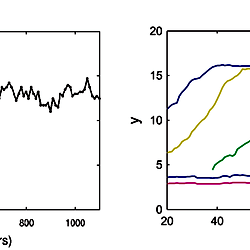 Cell turnover statistics for the cross-sectional model.