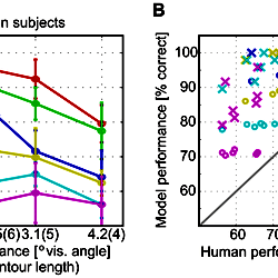 Contour detection performances.