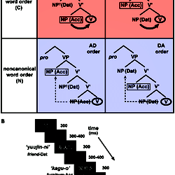 Structures of ditransitive sentences, together with serial presentation ...