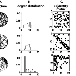 Properties of random and small-world graphs.