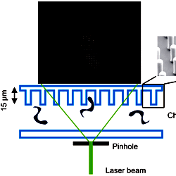 Schematic representation of the configuration of the microstructured ...