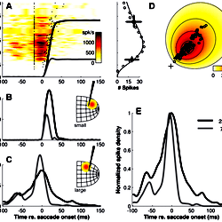 Same analysis of burst activity as in Fig. 7, but now applied to data ...